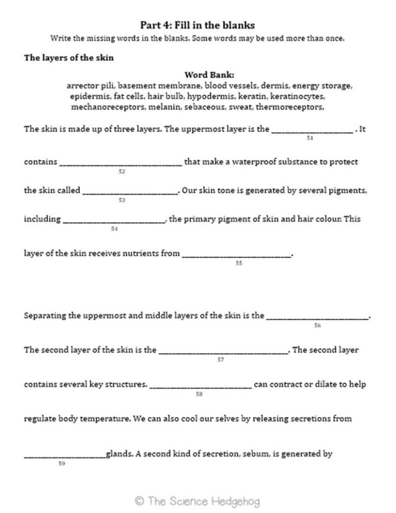 Human Anatomy Units Complete! – The Science Hedgehog