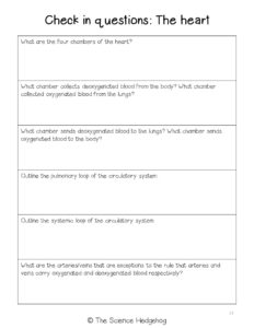 Using Interactive Notebooks in my Classroom – The Science Hedgehog