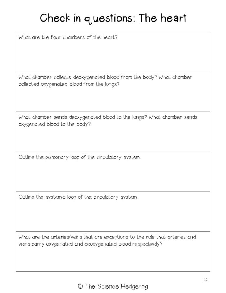 Using Interactive Notebooks in my Classroom – The Science Hedgehog